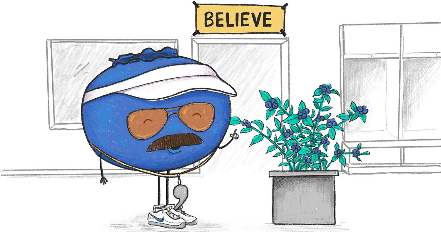 The Board: October 2024